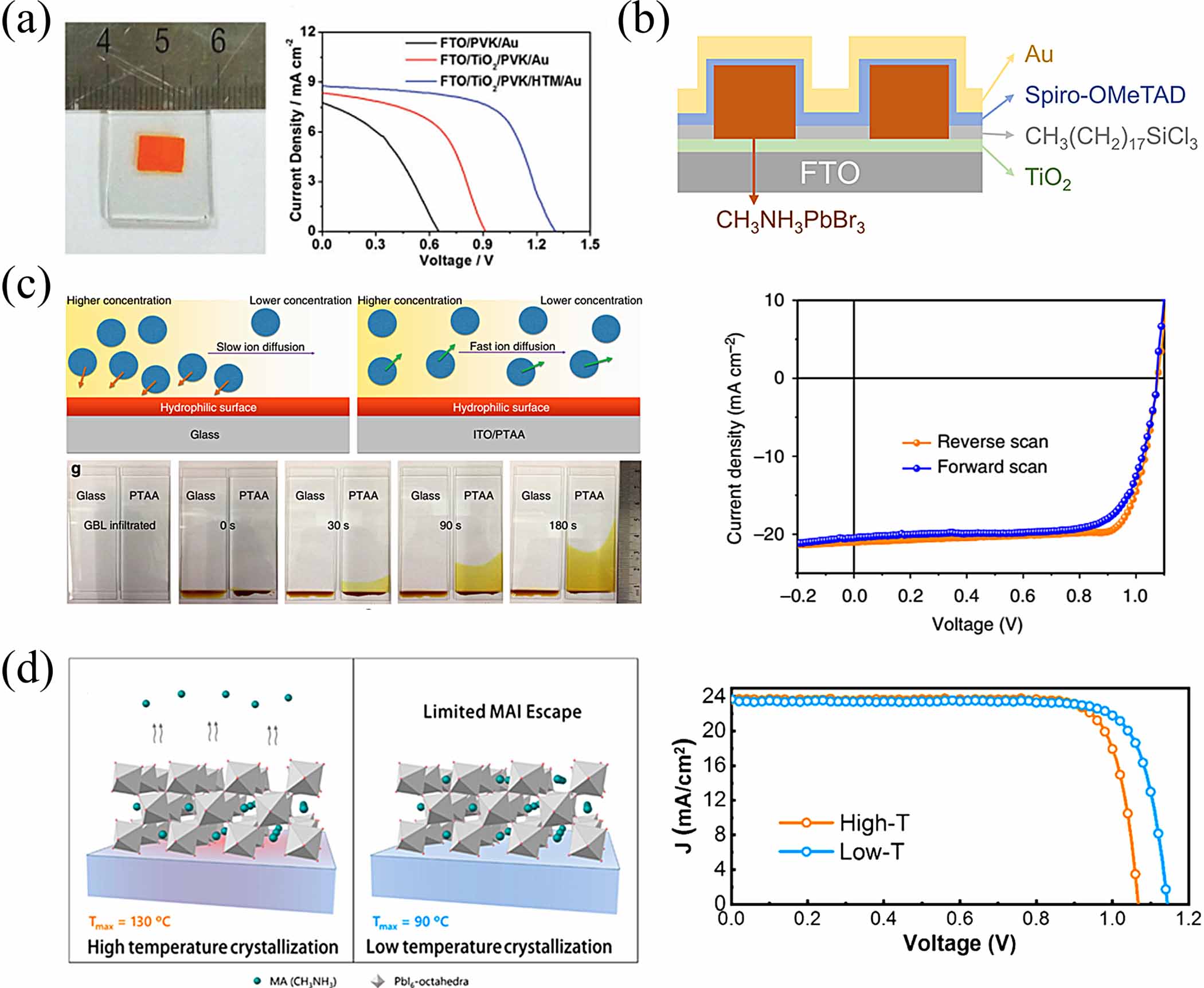 Perovskite single crystals: physical properties and optoelectronic ...