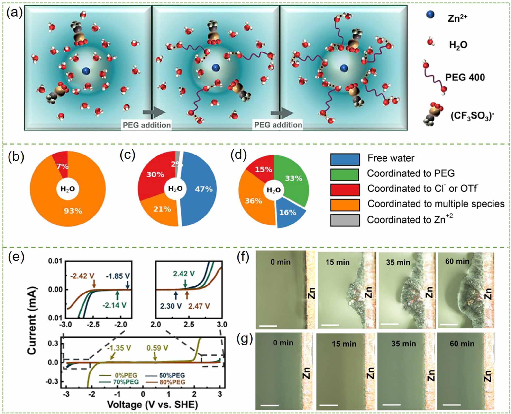 Review of regulating Zn2+ solvation structures in aqueous zinc-ion ...