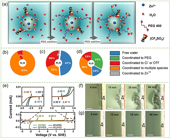 Review of regulating Zn2+ solvation structures in aqueous zinc-ion ...
