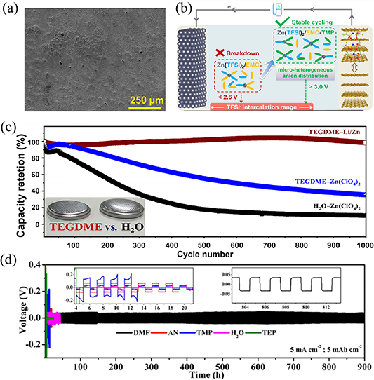 Research progress on the design of electrolyte additives and their ...