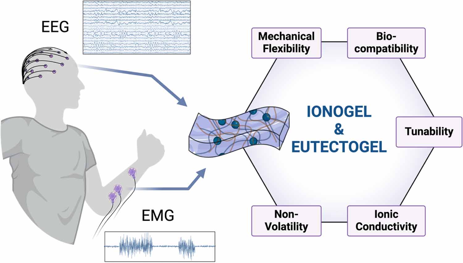 Ionogels and eutectogels for stable and long-term EEG and EMG signal ...