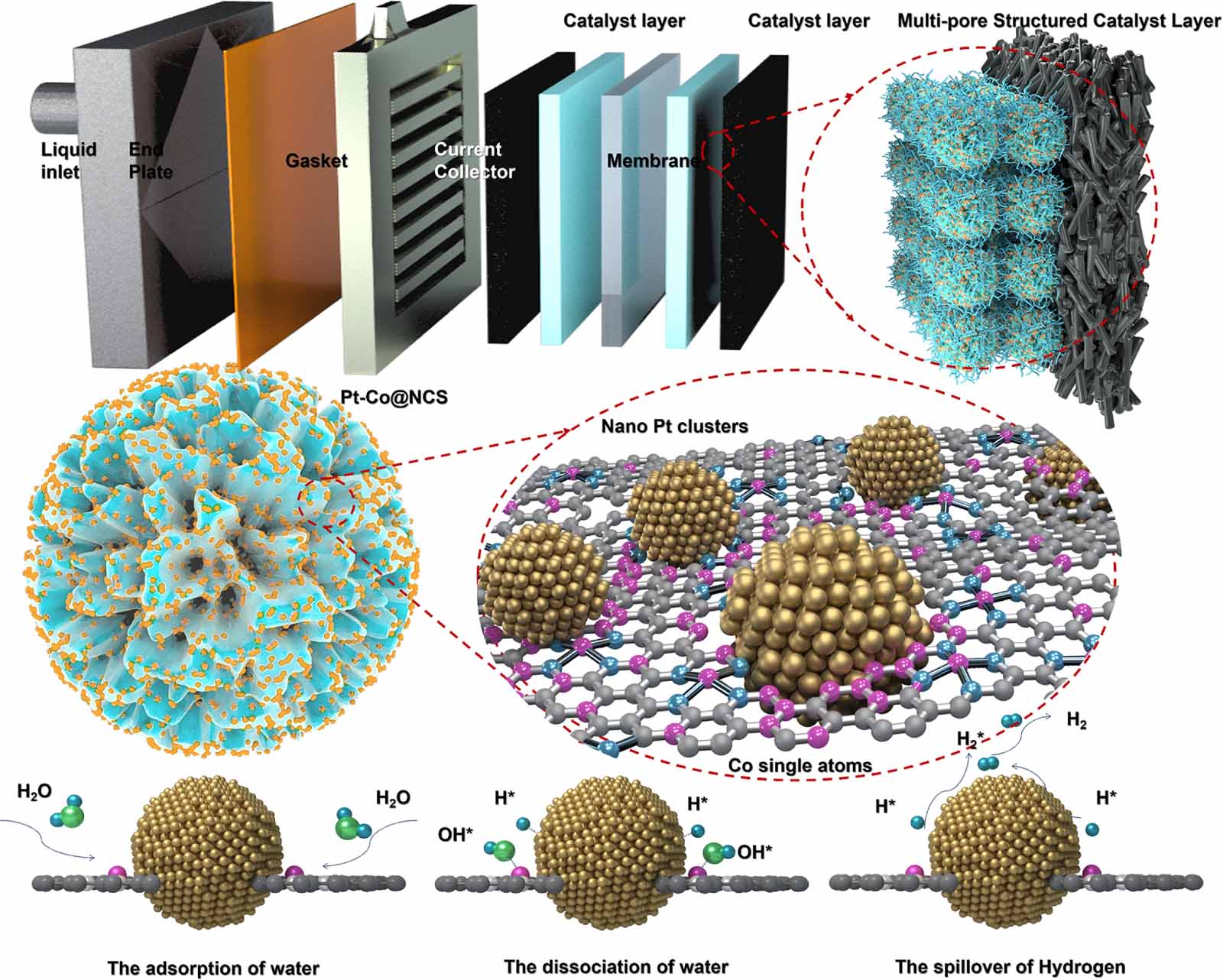 Synergistic effect between Co single atoms and Pt nanoparticles for ...
