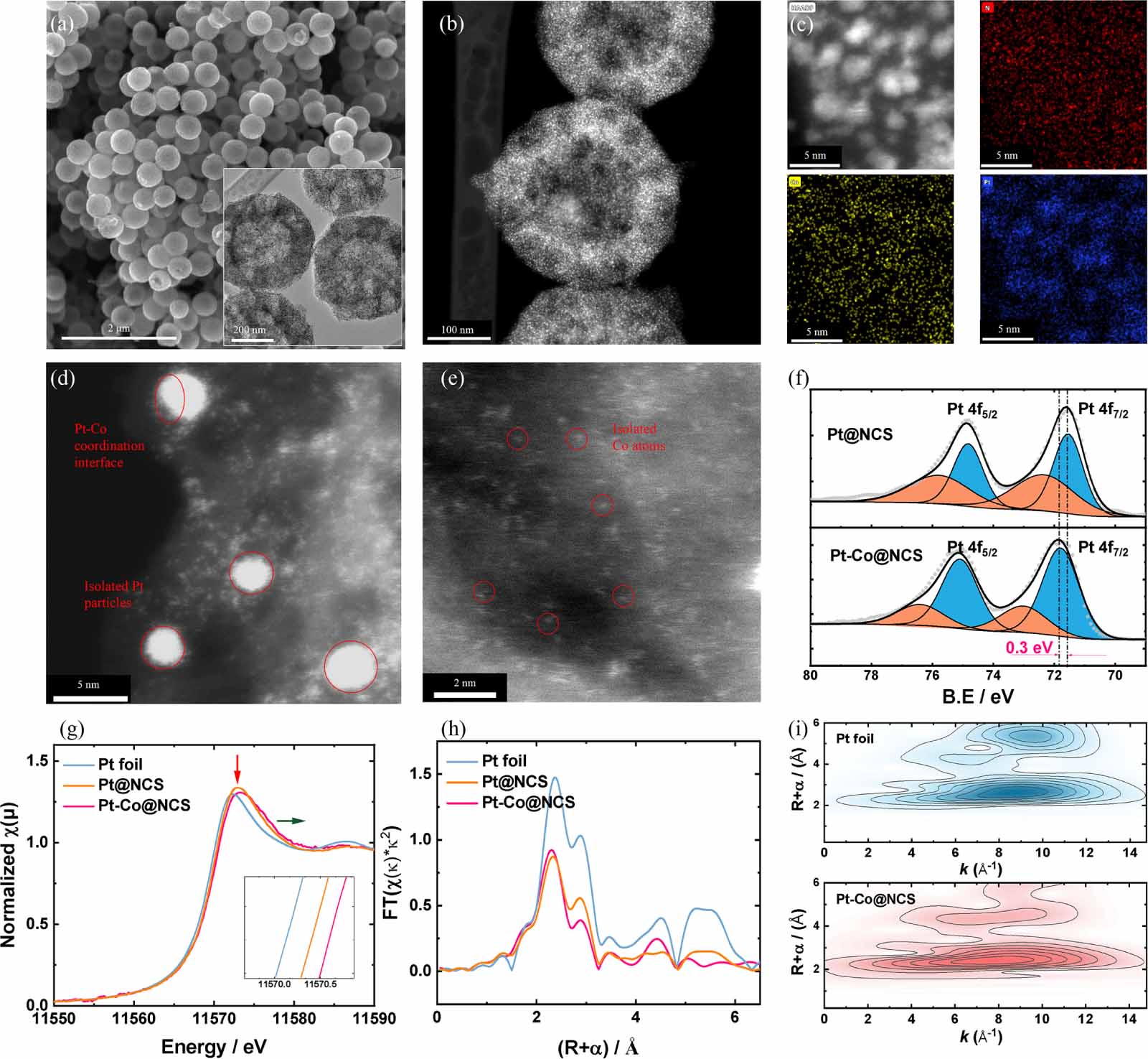 Synergistic effect between Co single atoms and Pt nanoparticles for ...
