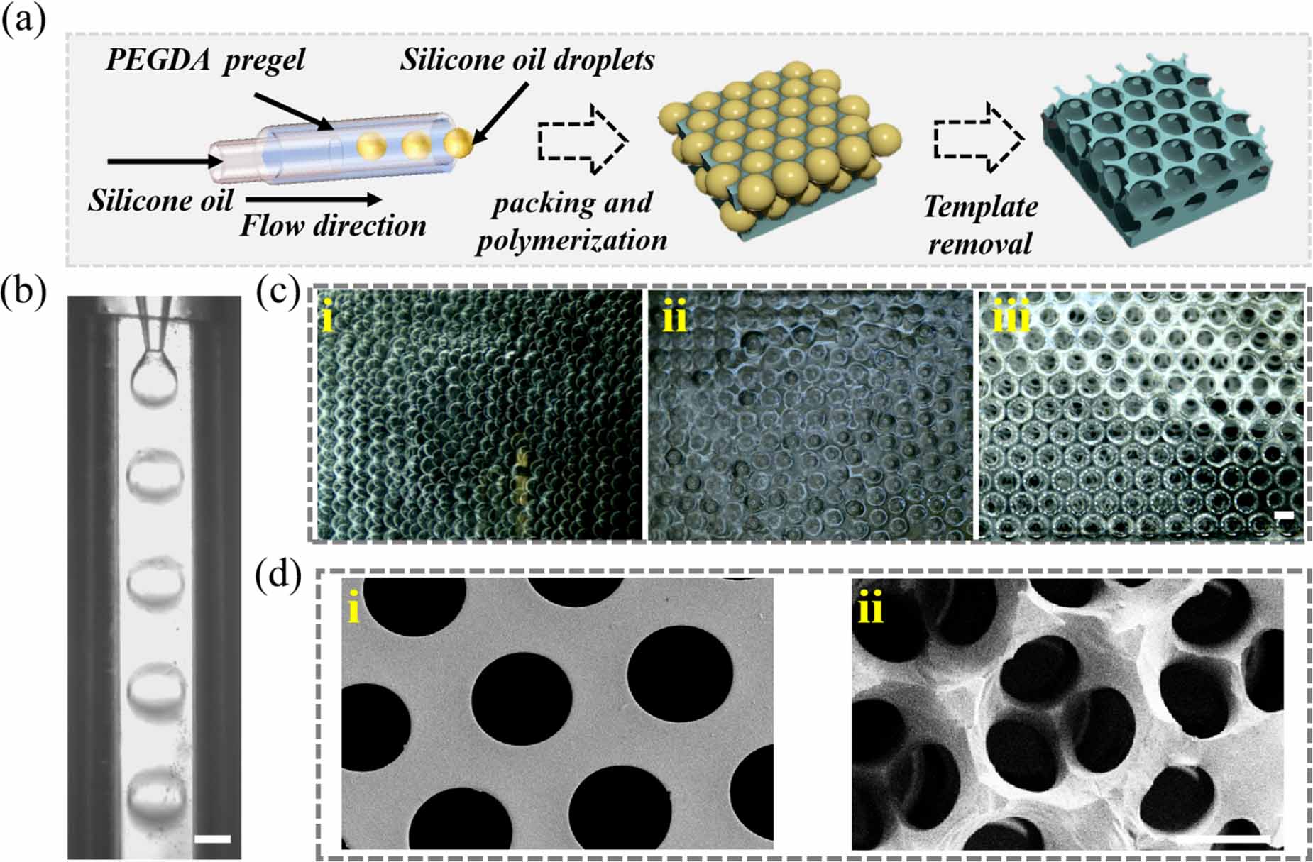 Tailoring esophageal tumor spheroids on a chip with inverse opal ...