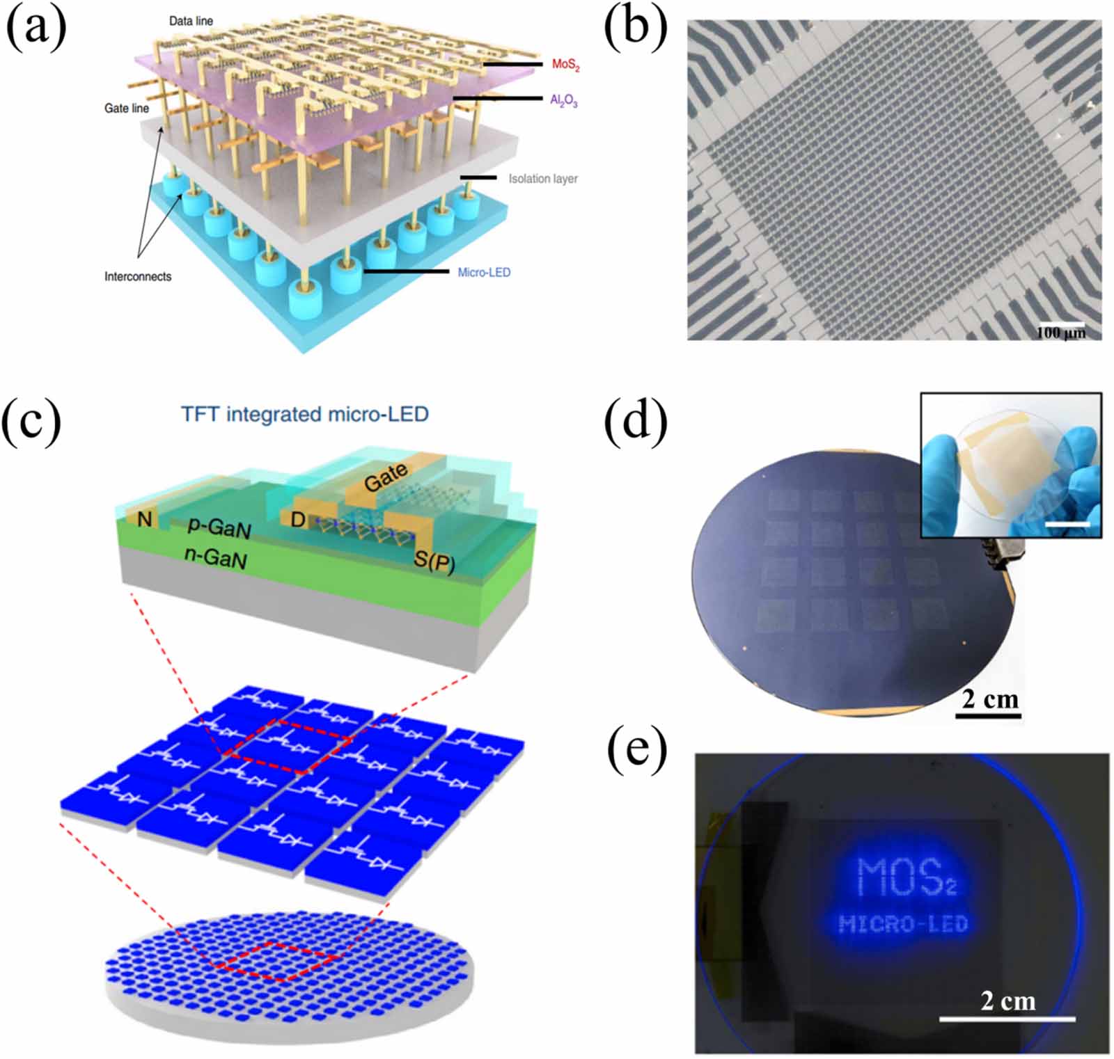 Scalable electronic and optoelectronic devices based on 2D TMDs ...