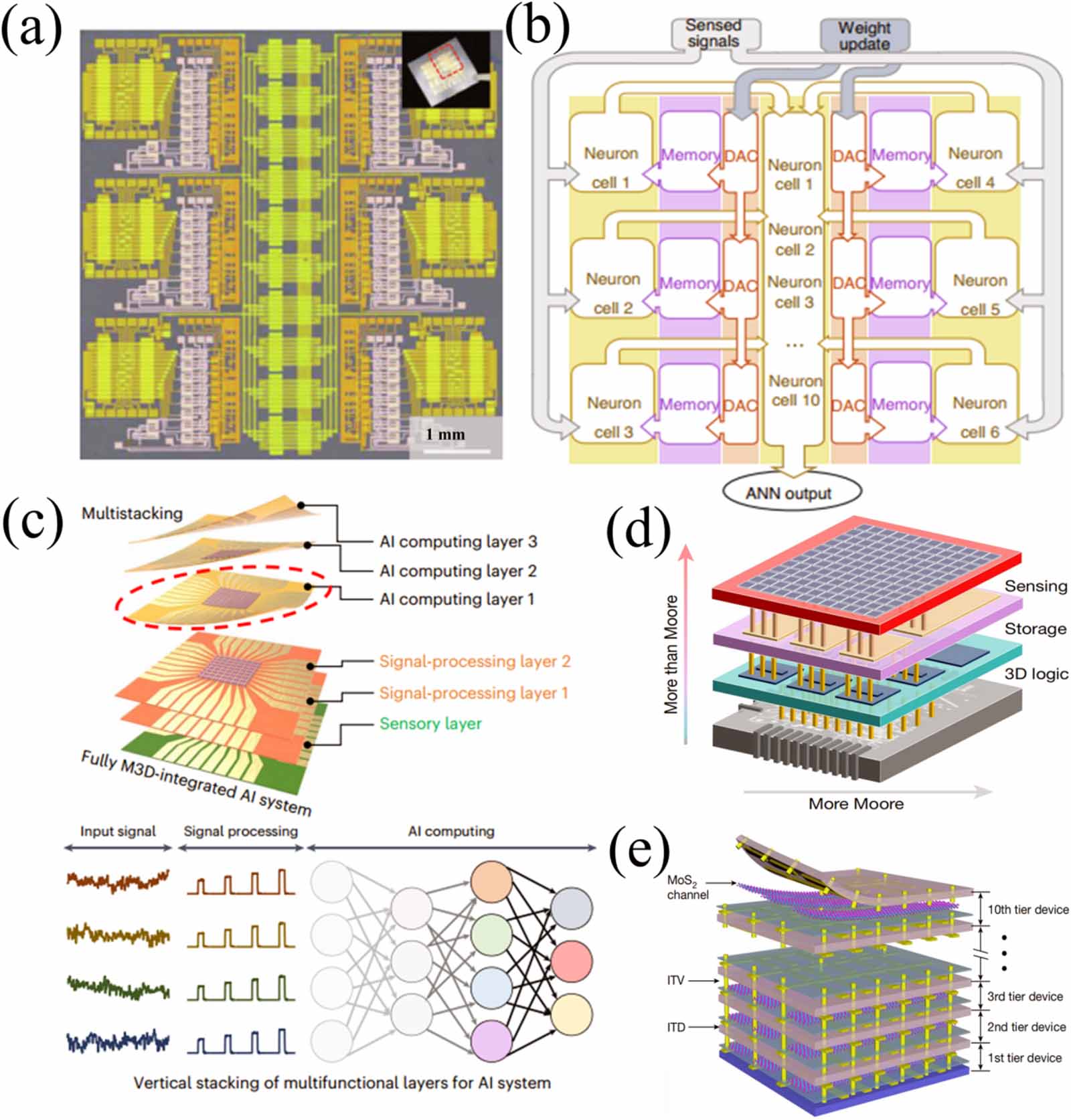 Scalable electronic and optoelectronic devices based on 2D TMDs ...