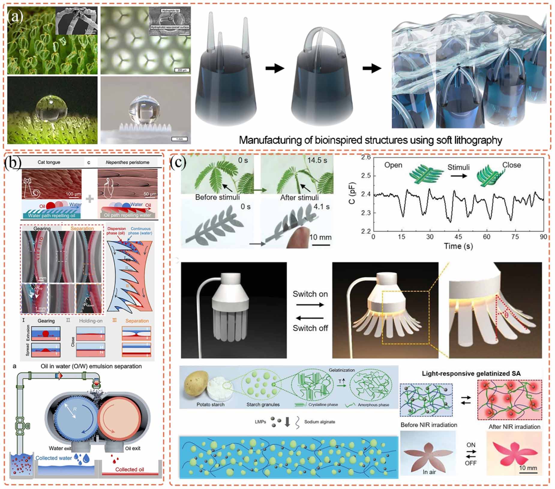 Plant-inspired surfaces and interfaces for sustainable technologies ...