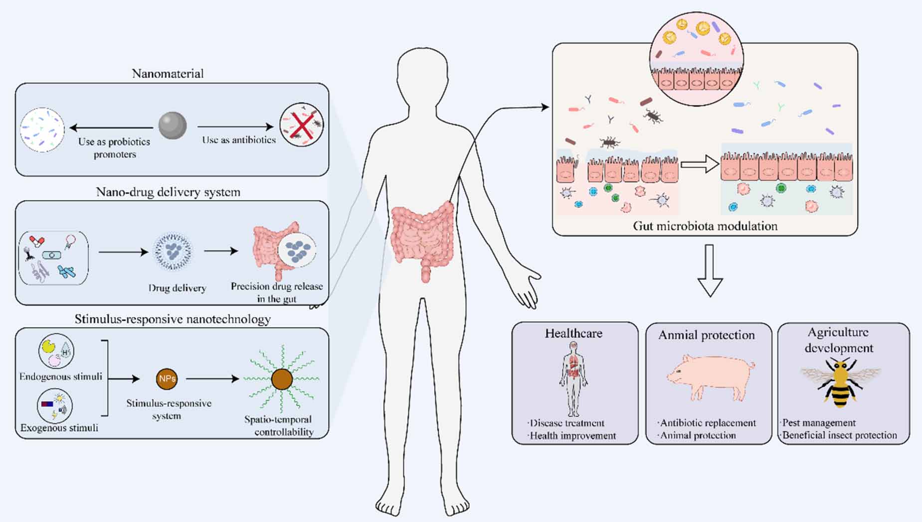 Tuning gut microbiota by advanced nanotechnology - IOPscience