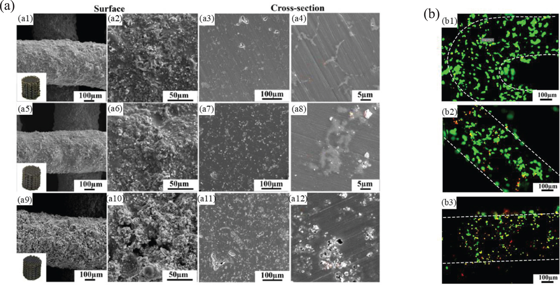 Overview of porous magnesium-based scaffolds: development, properties ...