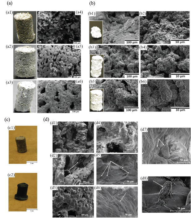 Overview of porous magnesium-based scaffolds: development, properties ...