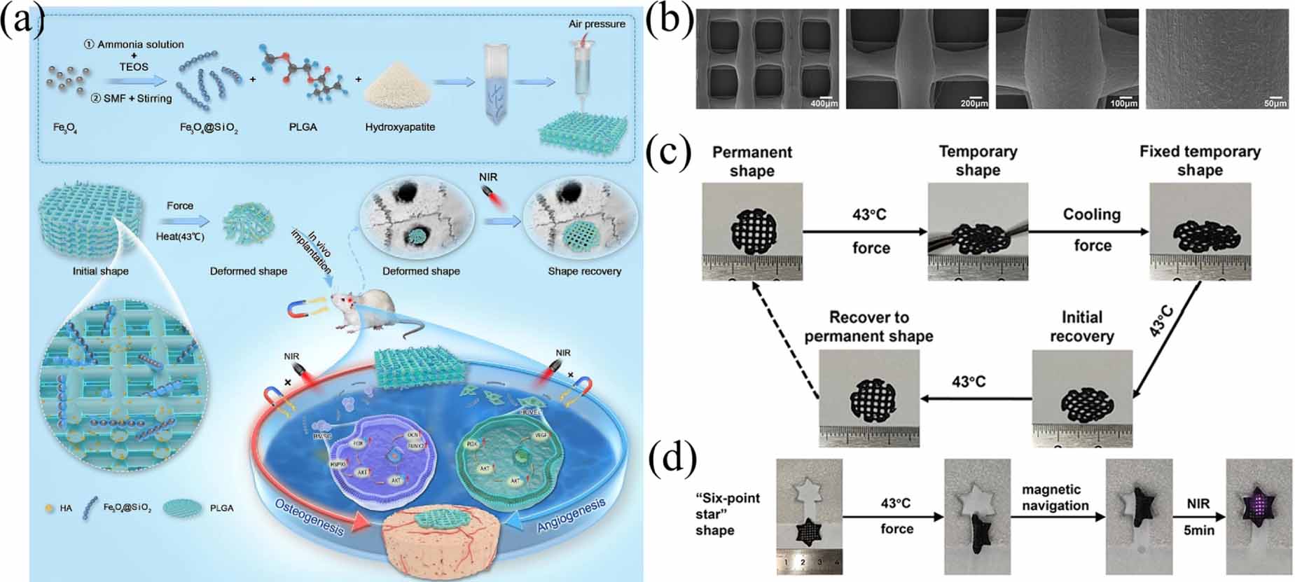 Dynamically customizable 4D printed shape memory polymer biomedical ...