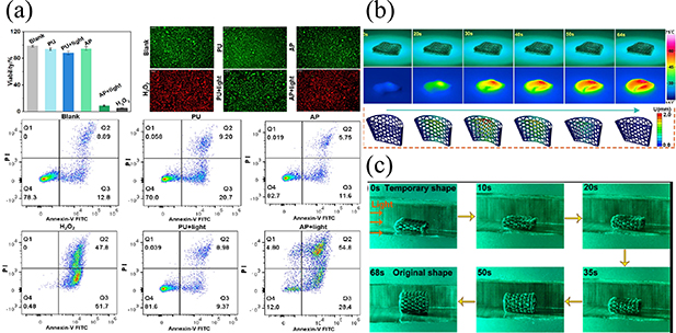 Dynamically customizable 4D printed shape memory polymer biomedical ...
