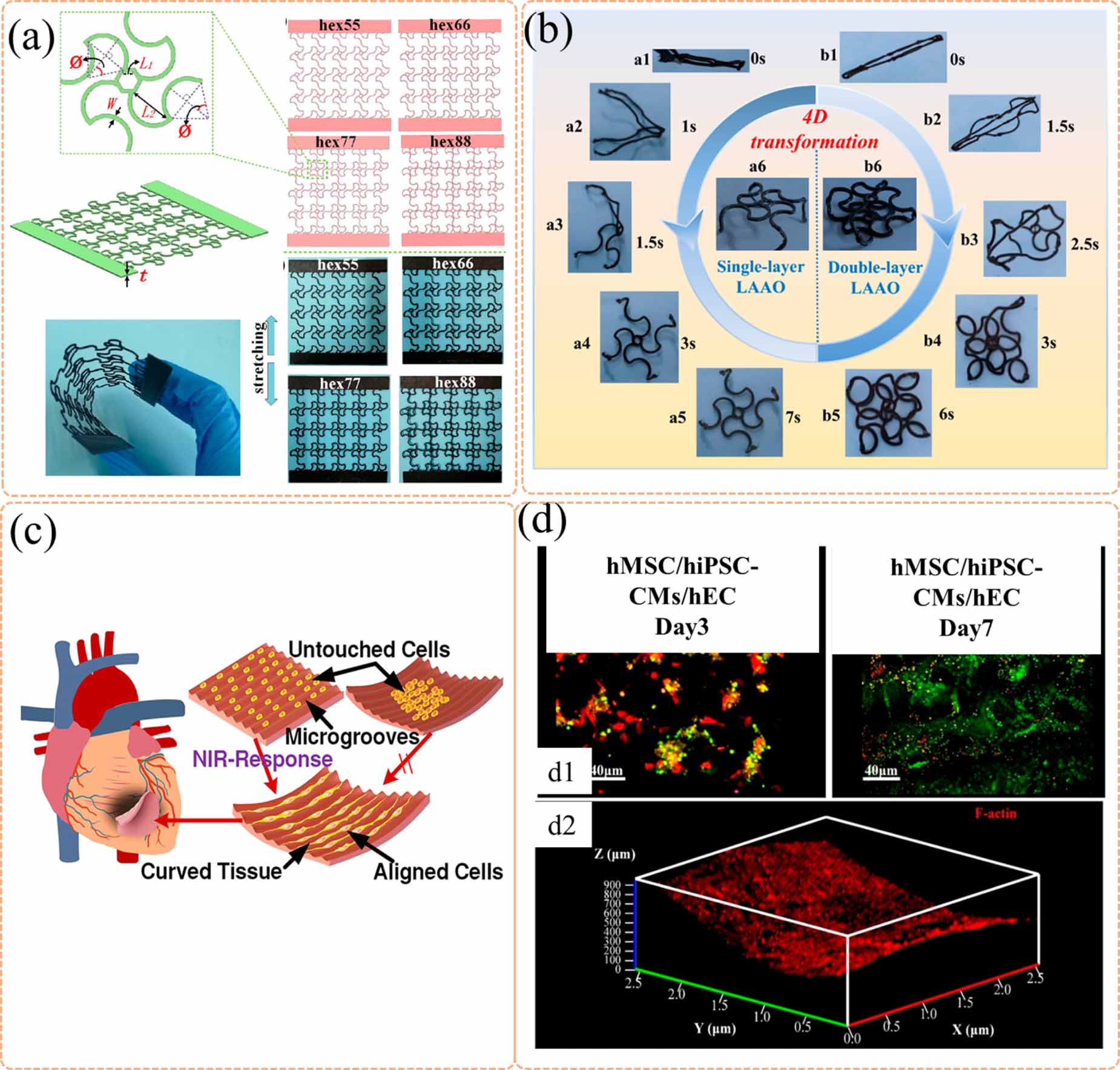 Dynamically customizable 4D printed shape memory polymer biomedical ...