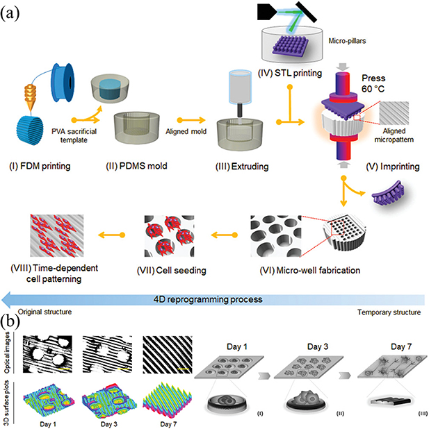 Dynamically customizable 4D printed shape memory polymer biomedical ...