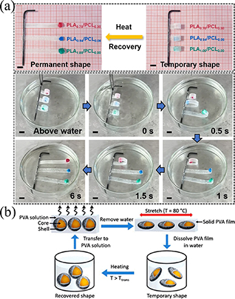 Dynamically customizable 4D printed shape memory polymer biomedical ...