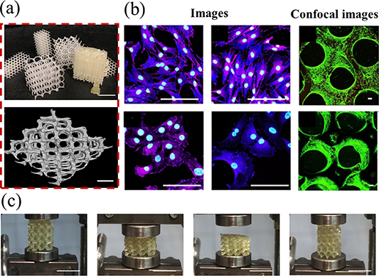 Dynamically customizable 4D printed shape memory polymer biomedical ...
