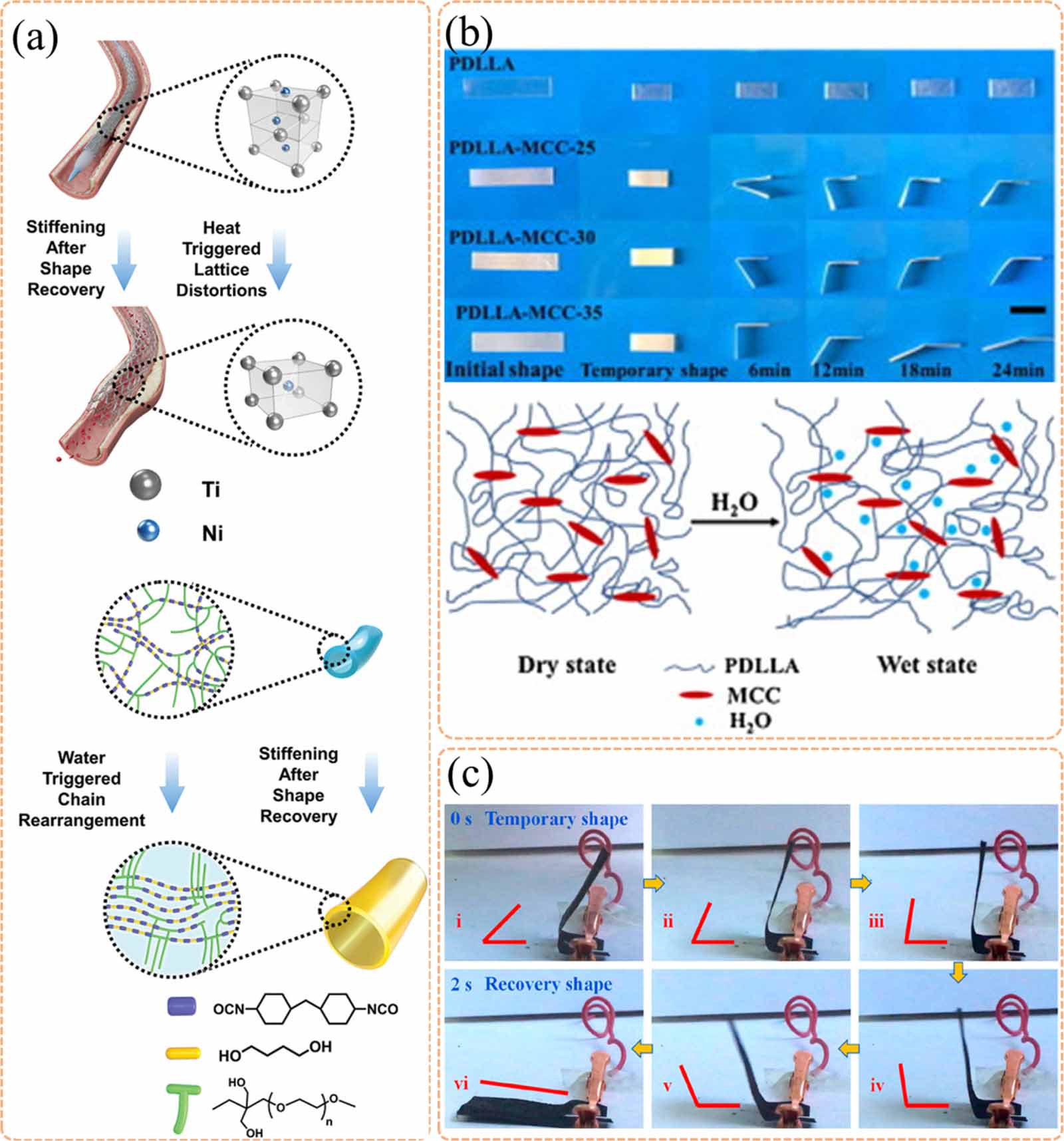 Dynamically customizable 4D printed shape memory polymer biomedical ...