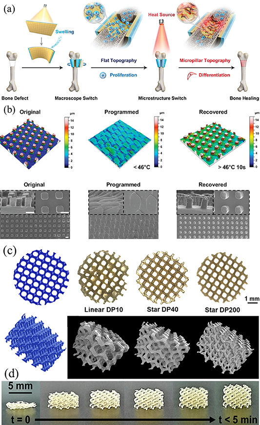 Dynamically customizable 4D printed shape memory polymer biomedical ...