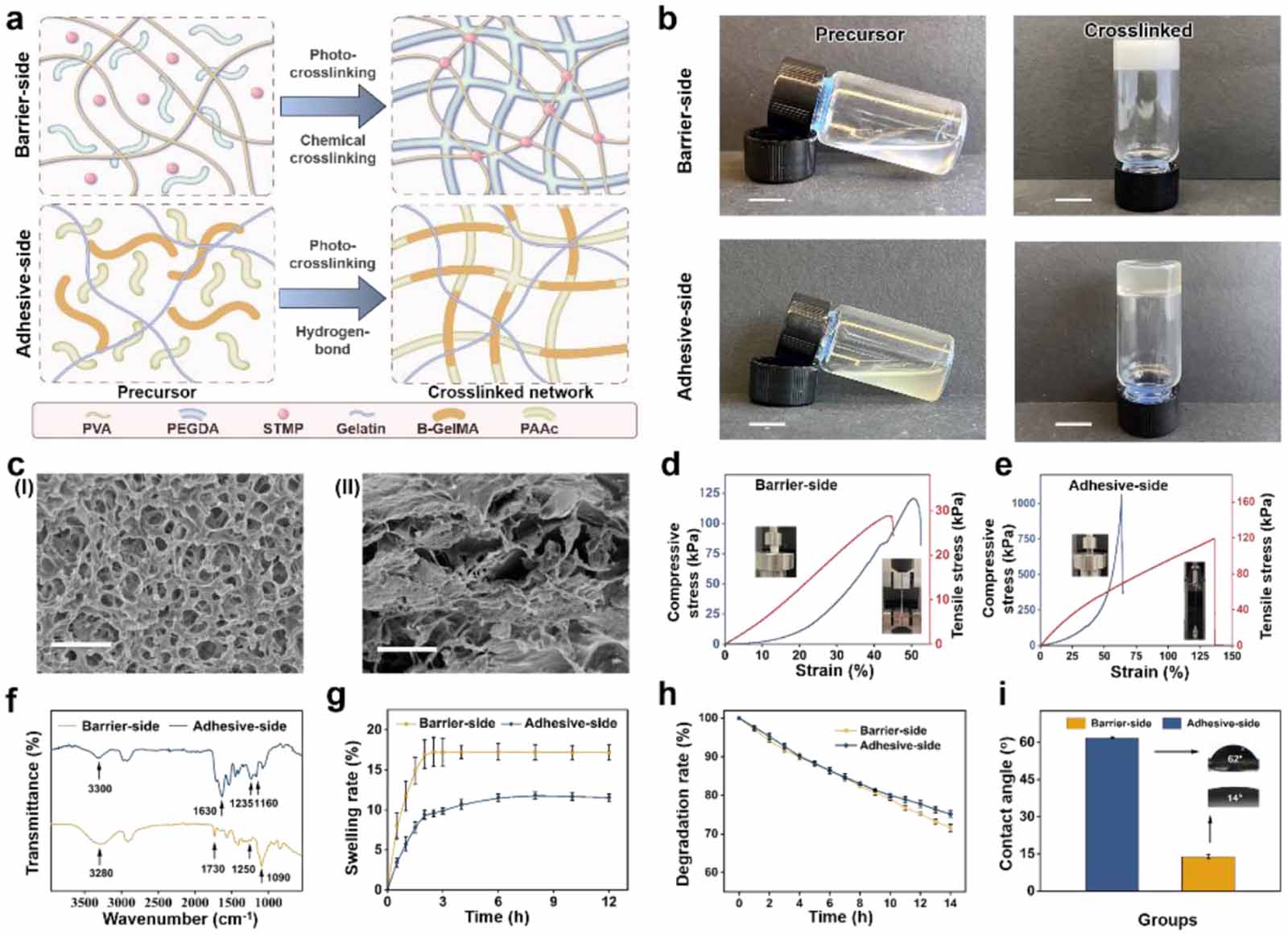 Bioinspired hydrogel patch with controllable adhesion for soft tissue ...