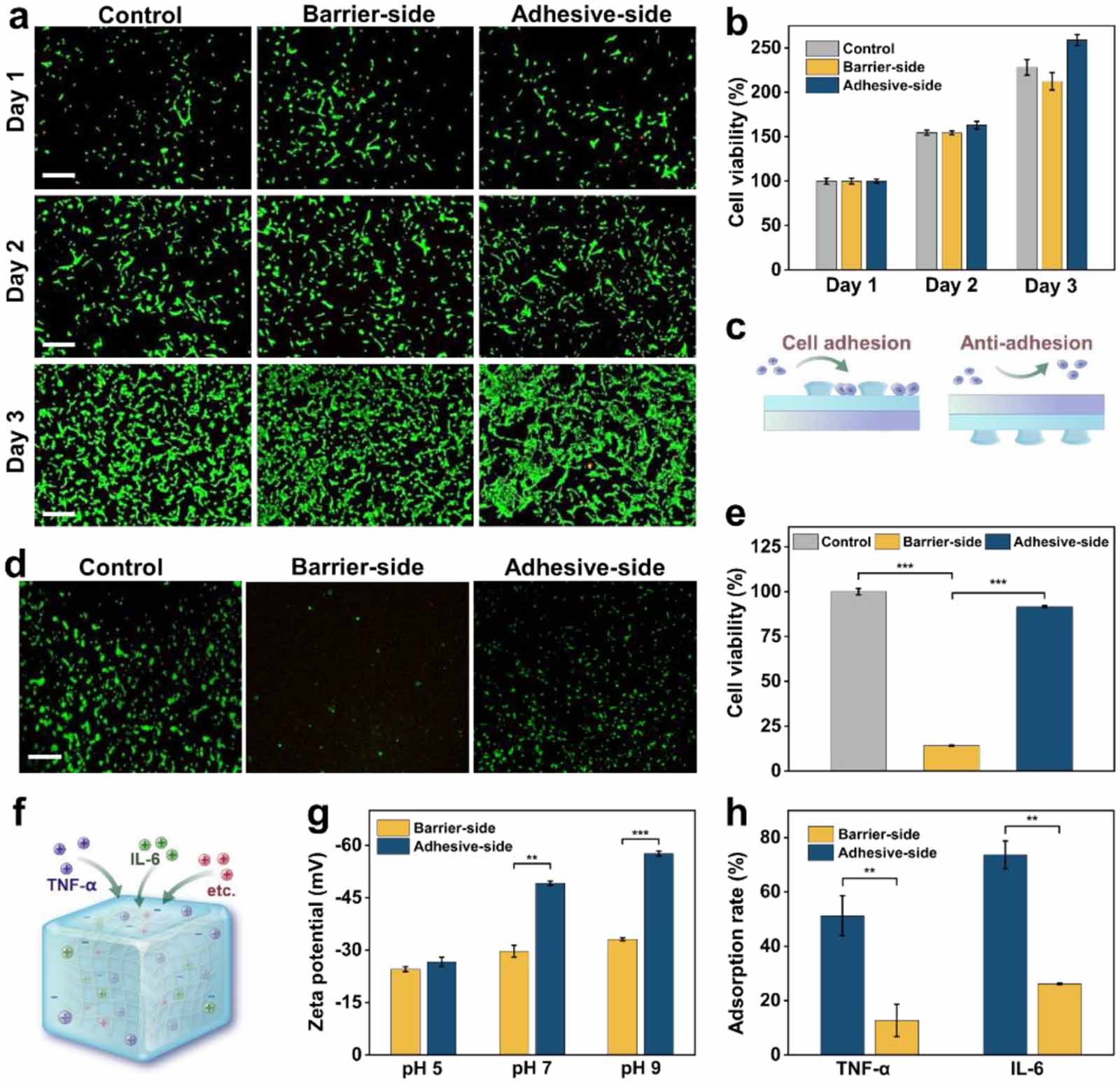 Bioinspired hydrogel patch with controllable adhesion for soft tissue ...