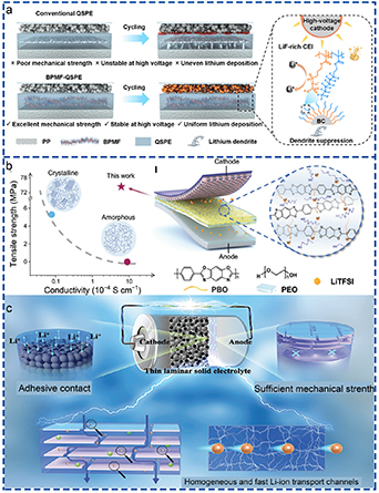 Solid polymer electrolytes: ion conduction enhancement and ...