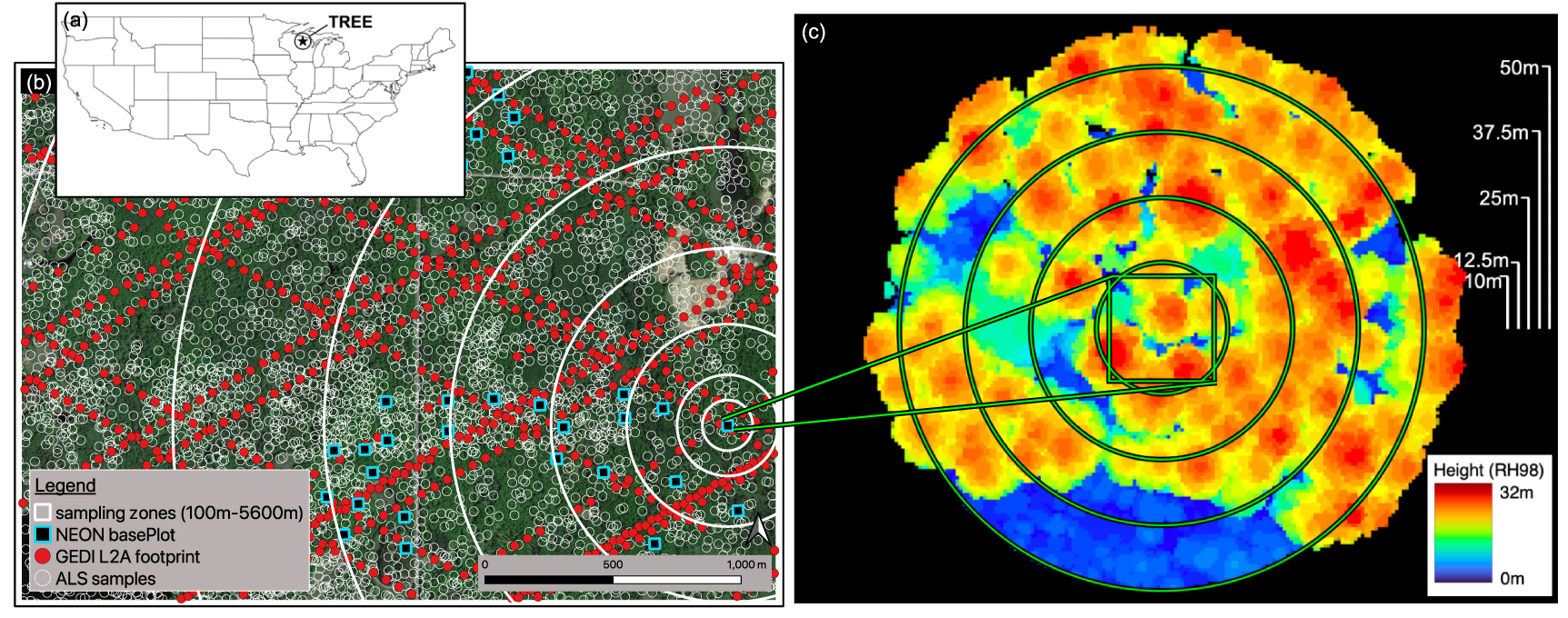 Inferring alpha, beta, and gamma plant diversity across biomes with ...