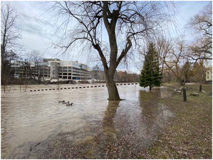 Community-engaged flood mitigation and ecological restoration on a ...