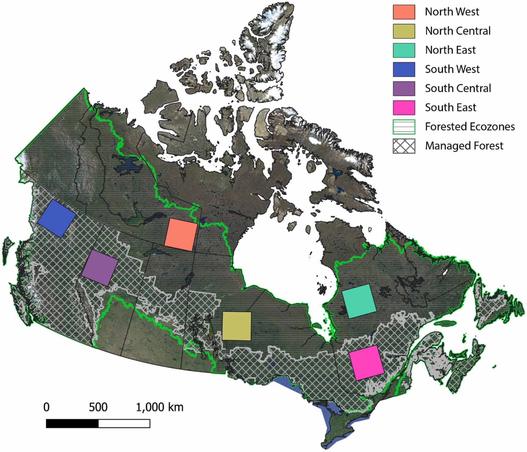 Assessing the impact of afforestation as a natural climate solution in ...