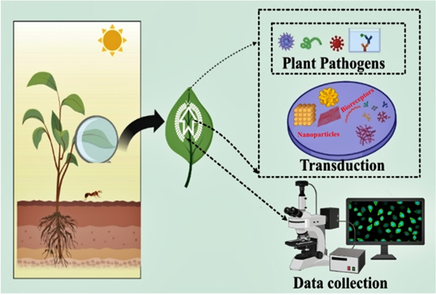 A Paradigm of Internet-of-Nano-Things Inspired Intelligent Plant ...