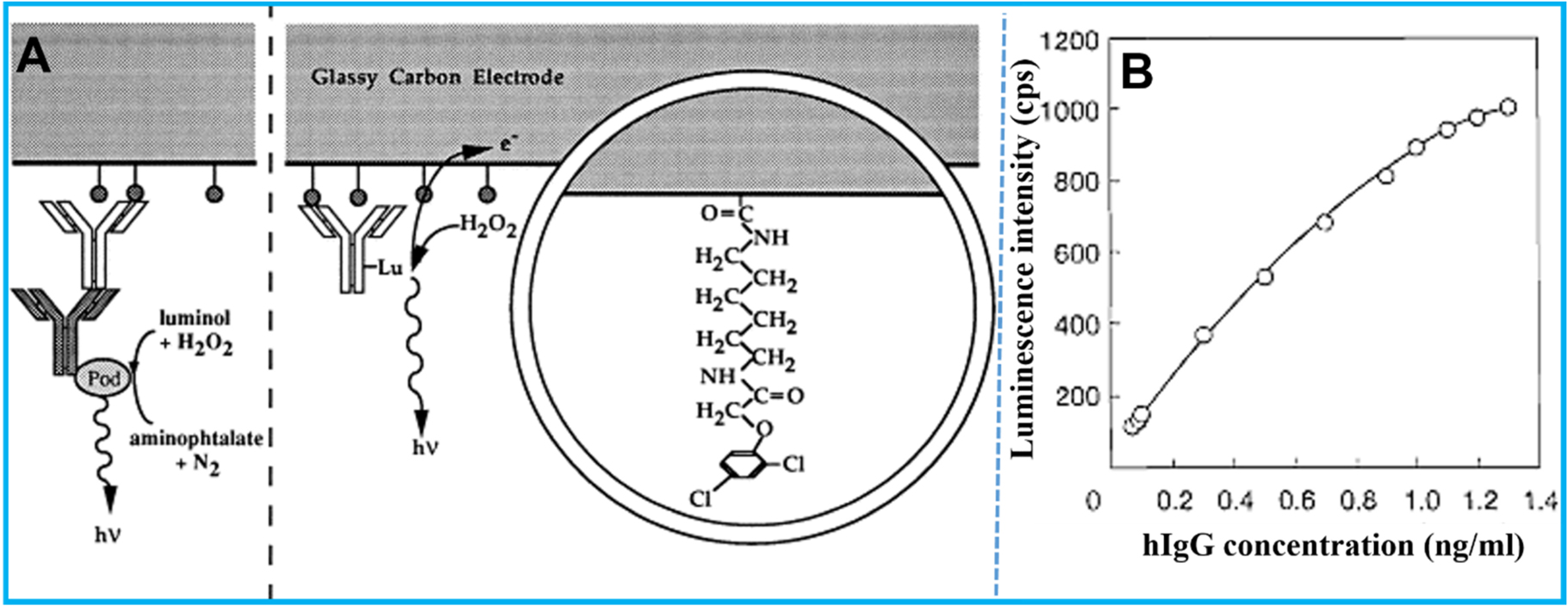Flow Injection Analysis-Based Electrochemiluminescence: An Overview of ...