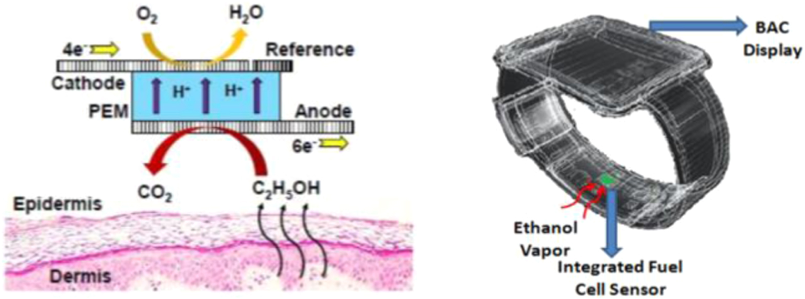 Review—Micro-Fuel Cell Principal Biosensors for Monitoring Transdermal ...