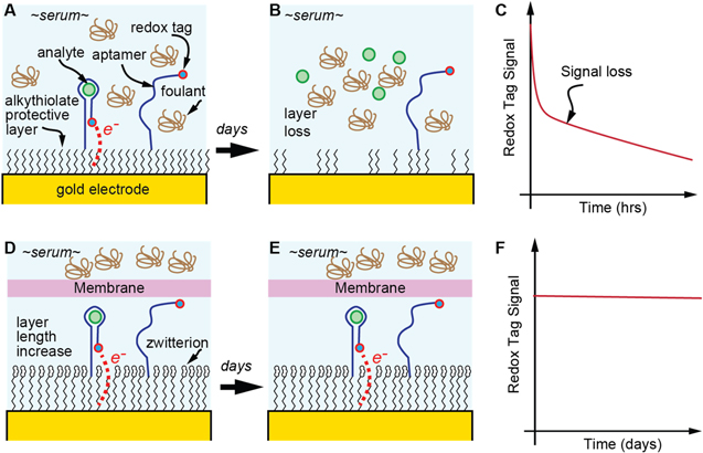 Perspective—The Feasibility of Continuous Protein Monitoring in ...