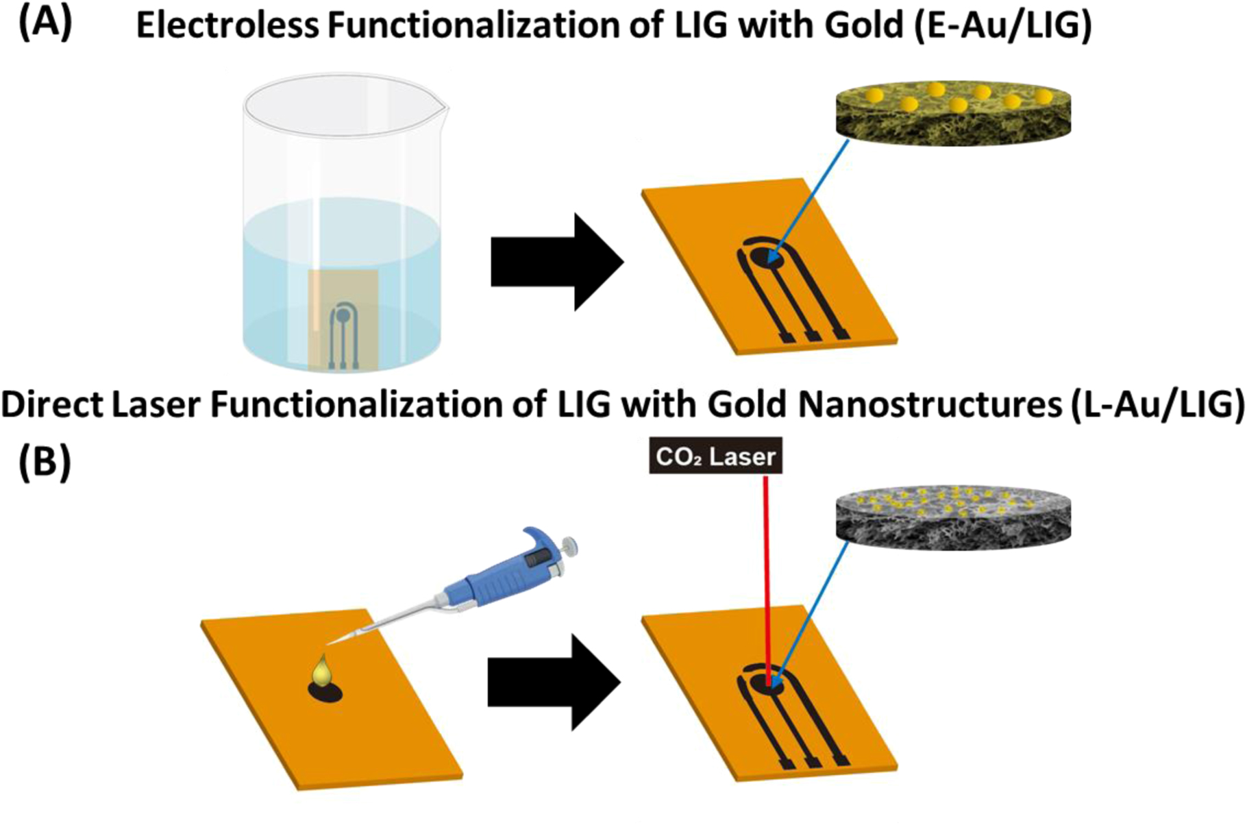 Direct Laser-Functionalized Au-LIG Sensors for Real-time ...