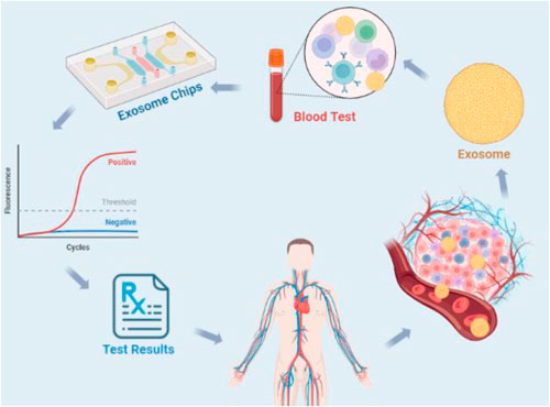 ECS Sensors Plus - IOPscience