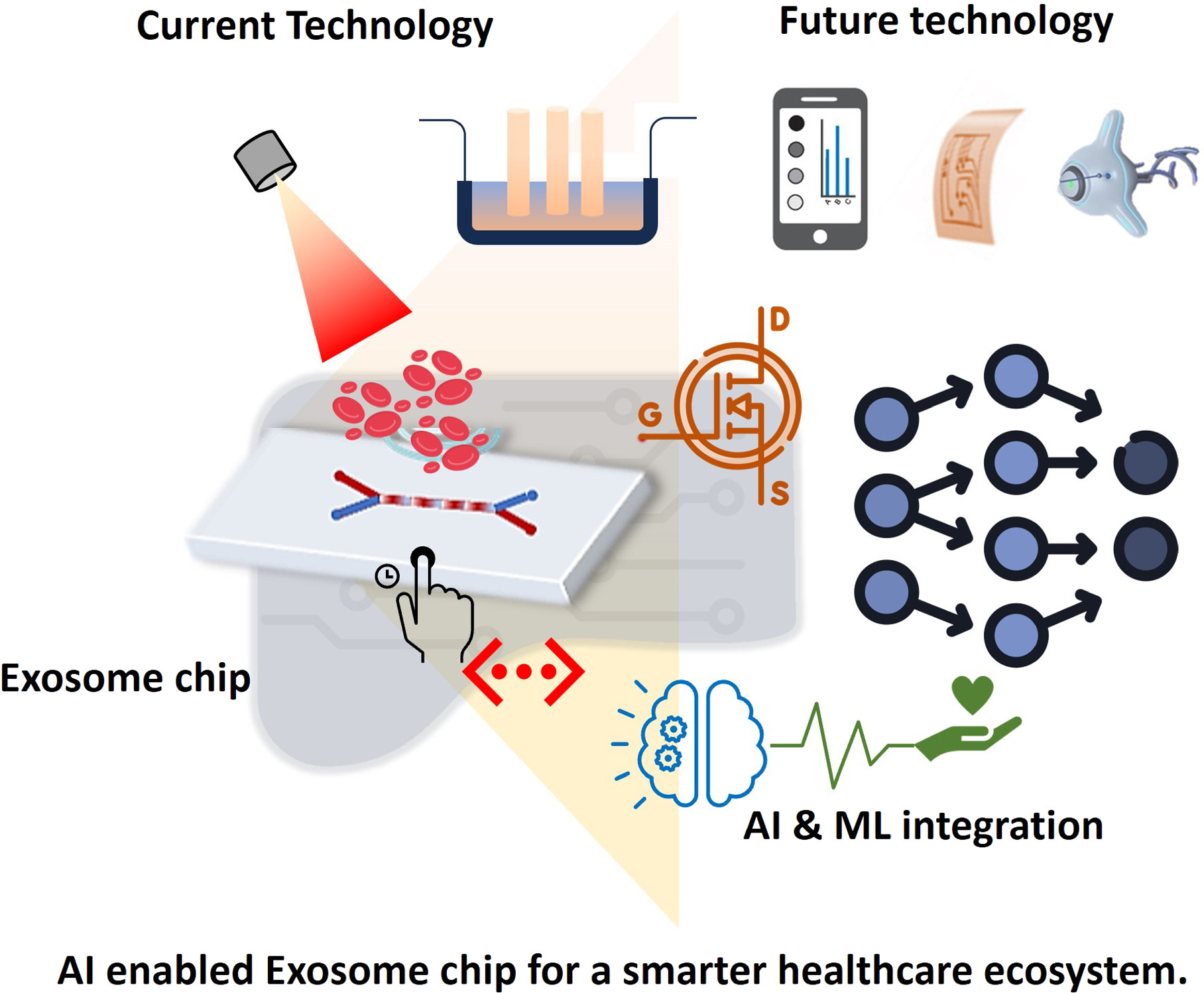 Review—Prospects in Cancer Diagnosis: Exosome-Chip for Liquid Biopsy ...
