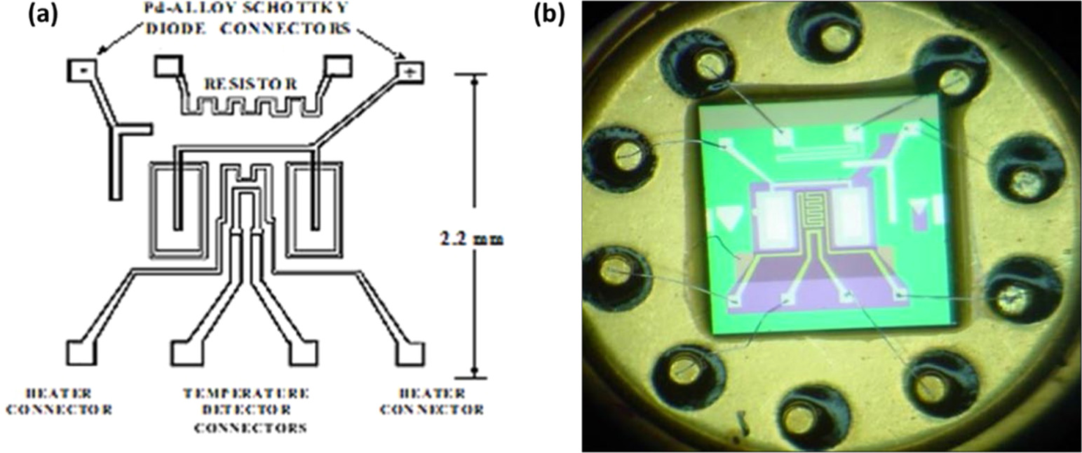 Recent Developments in Sensor Technologies for Enabling the Hydrogen ...