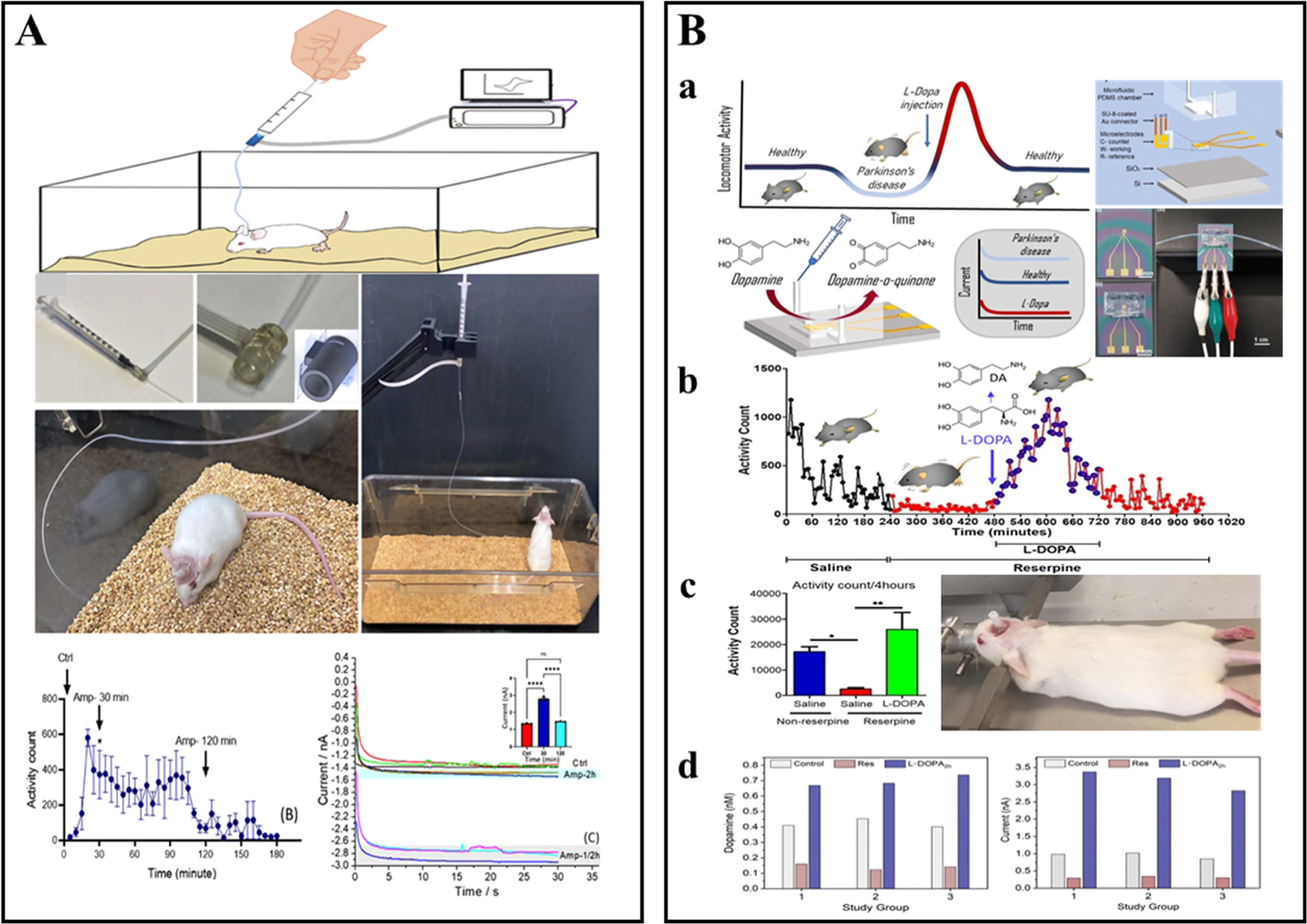 Review—Catalytic Electrochemical Biosensors for Dopamine: Design, Performance, and Healthcare ...