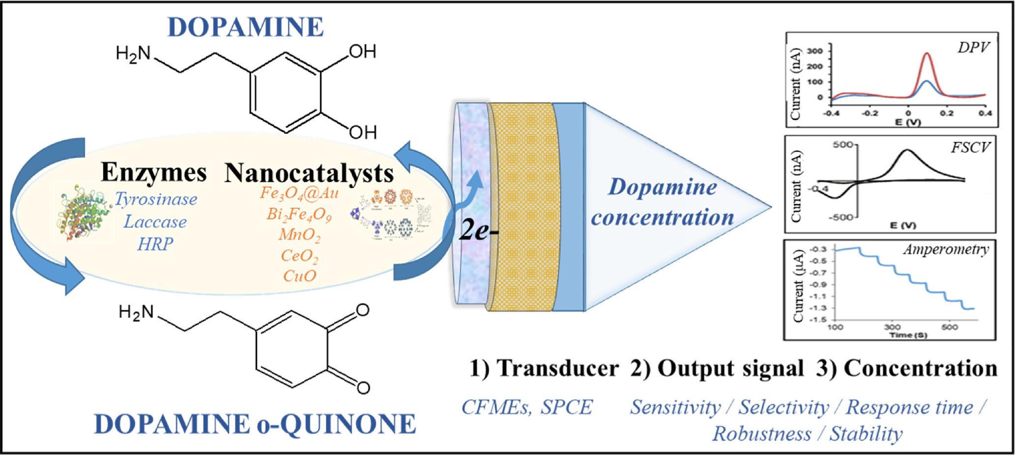 Review—Catalytic Electrochemical Biosensors for Dopamine: Design, Performance, and Healthcare ...