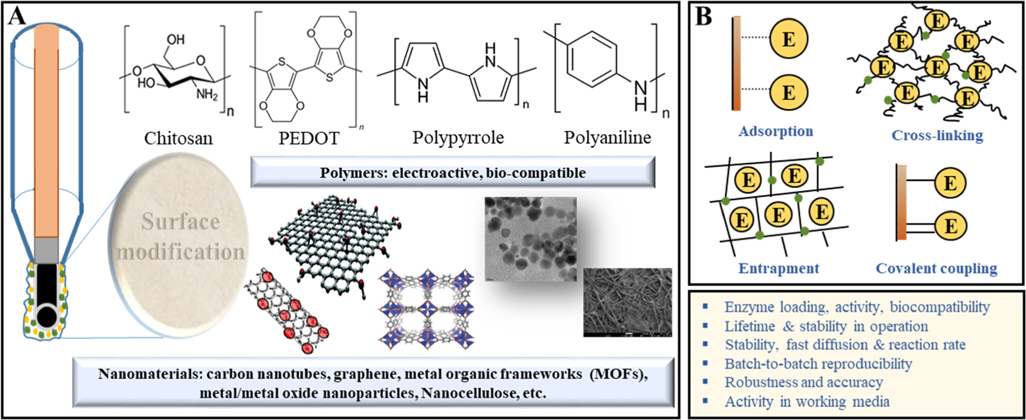 Review—Catalytic Electrochemical Biosensors for Dopamine: Design, Performance, and Healthcare ...