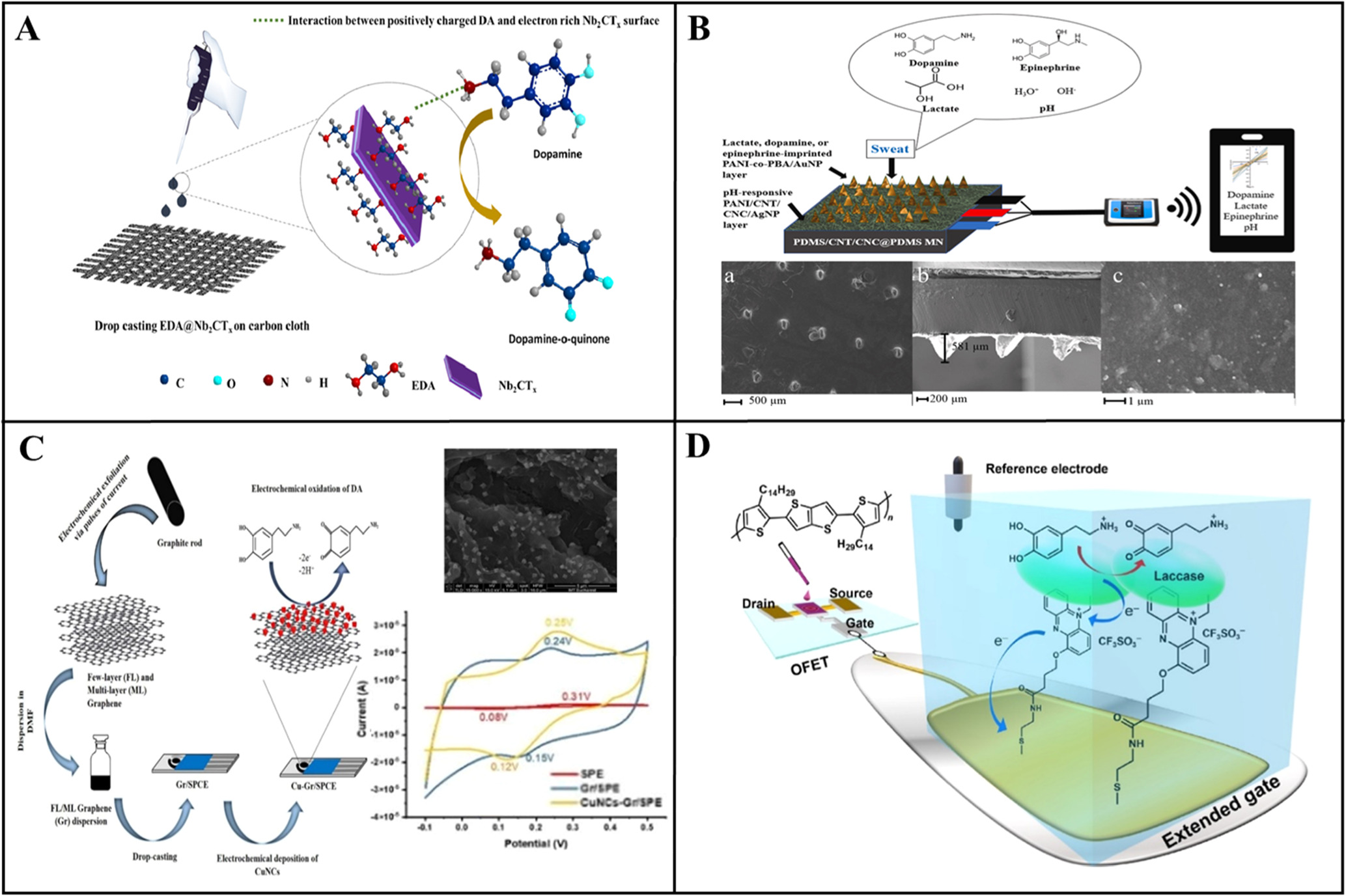 Review—Catalytic Electrochemical Biosensors for Dopamine: Design, Performance, and Healthcare ...