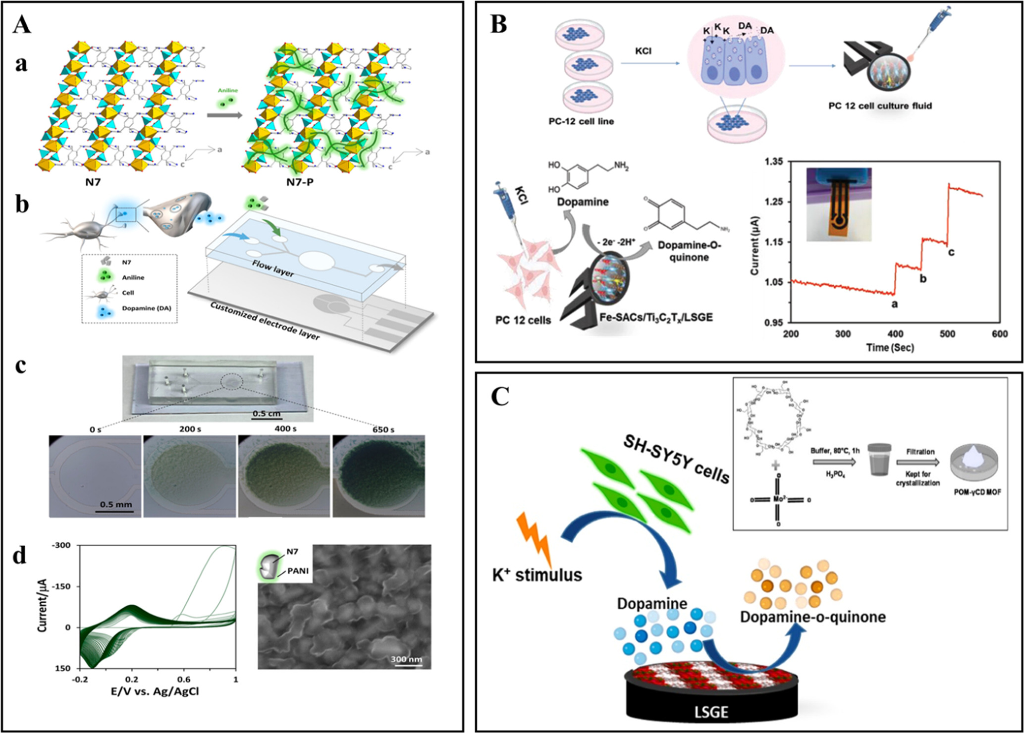 Review—Catalytic Electrochemical Biosensors for Dopamine: Design, Performance, and Healthcare ...