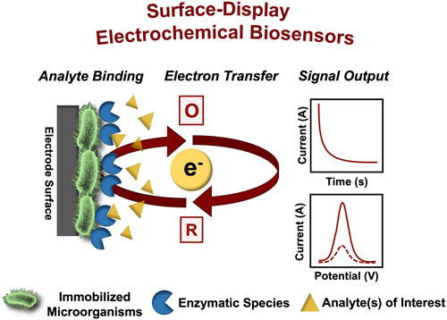 ECS Sensors Plus - IOPscience