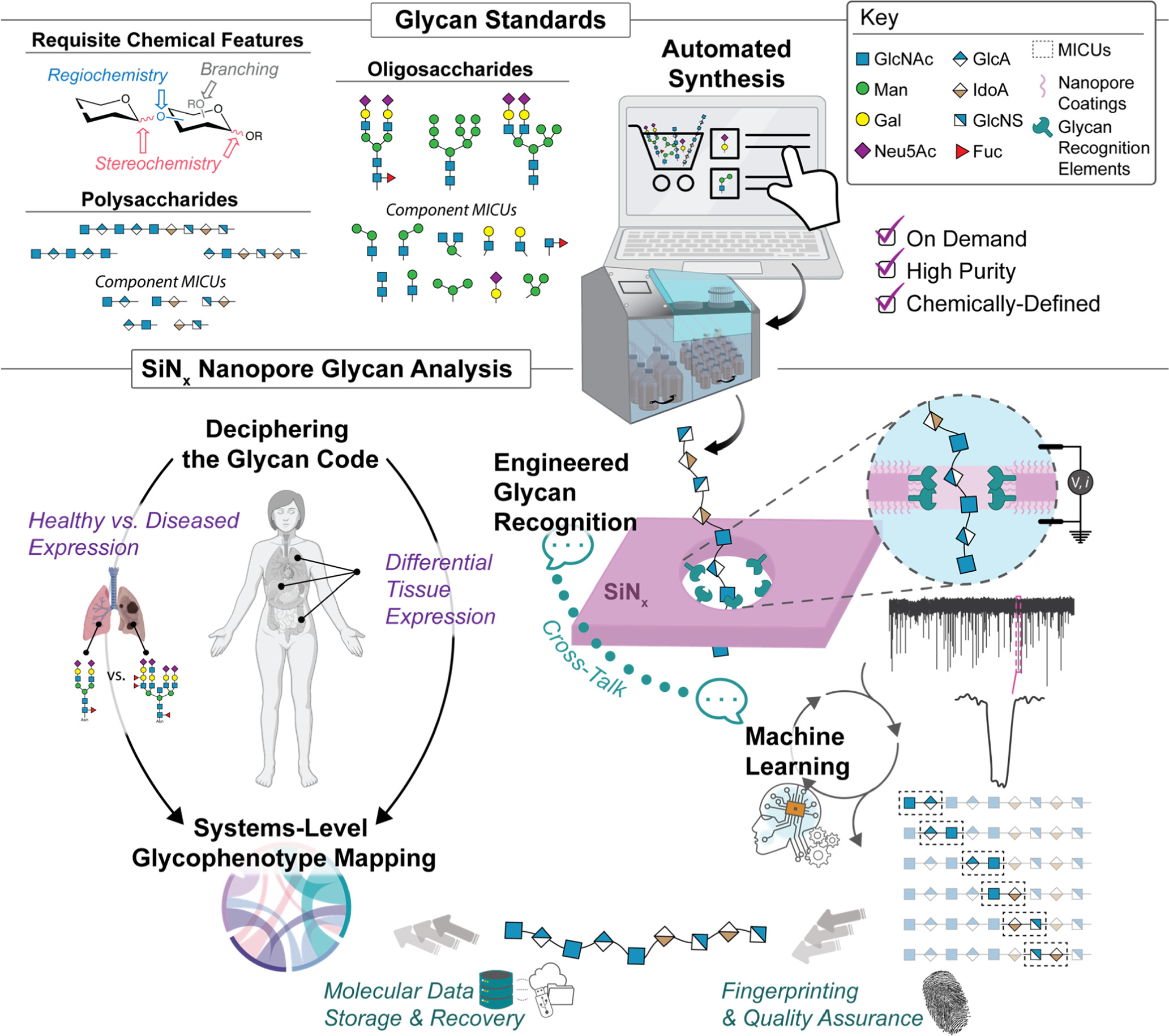 Editors’ Choice—Perspective—Deciphering the Glycan Kryptos by Solid ...