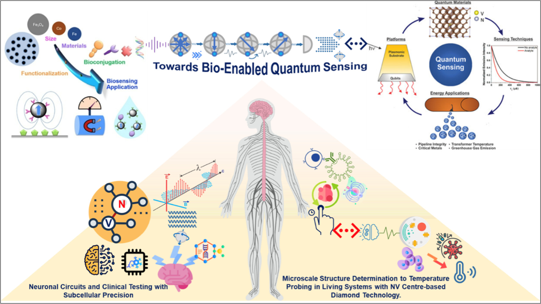 Review—Quantum Biosensors: Principles and Applications in Medical ...