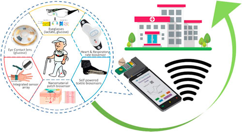 Interdigitated Electrodes (IDEs)-Supported Biosensing for Efficient ...
