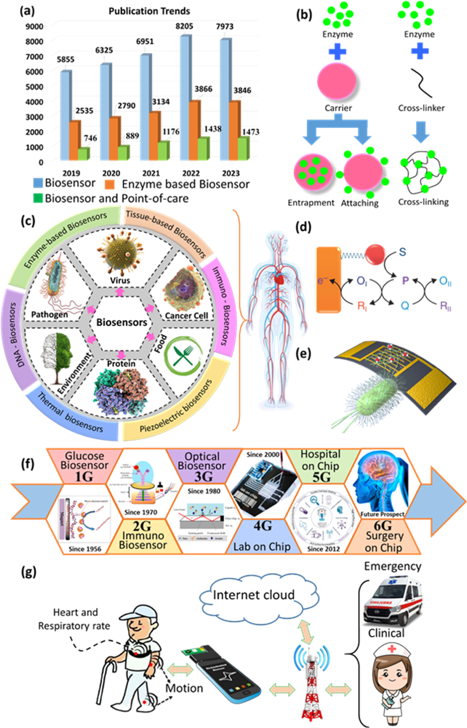 Interdigitated Electrodes (IDEs)-Supported Biosensing for Efficient ...