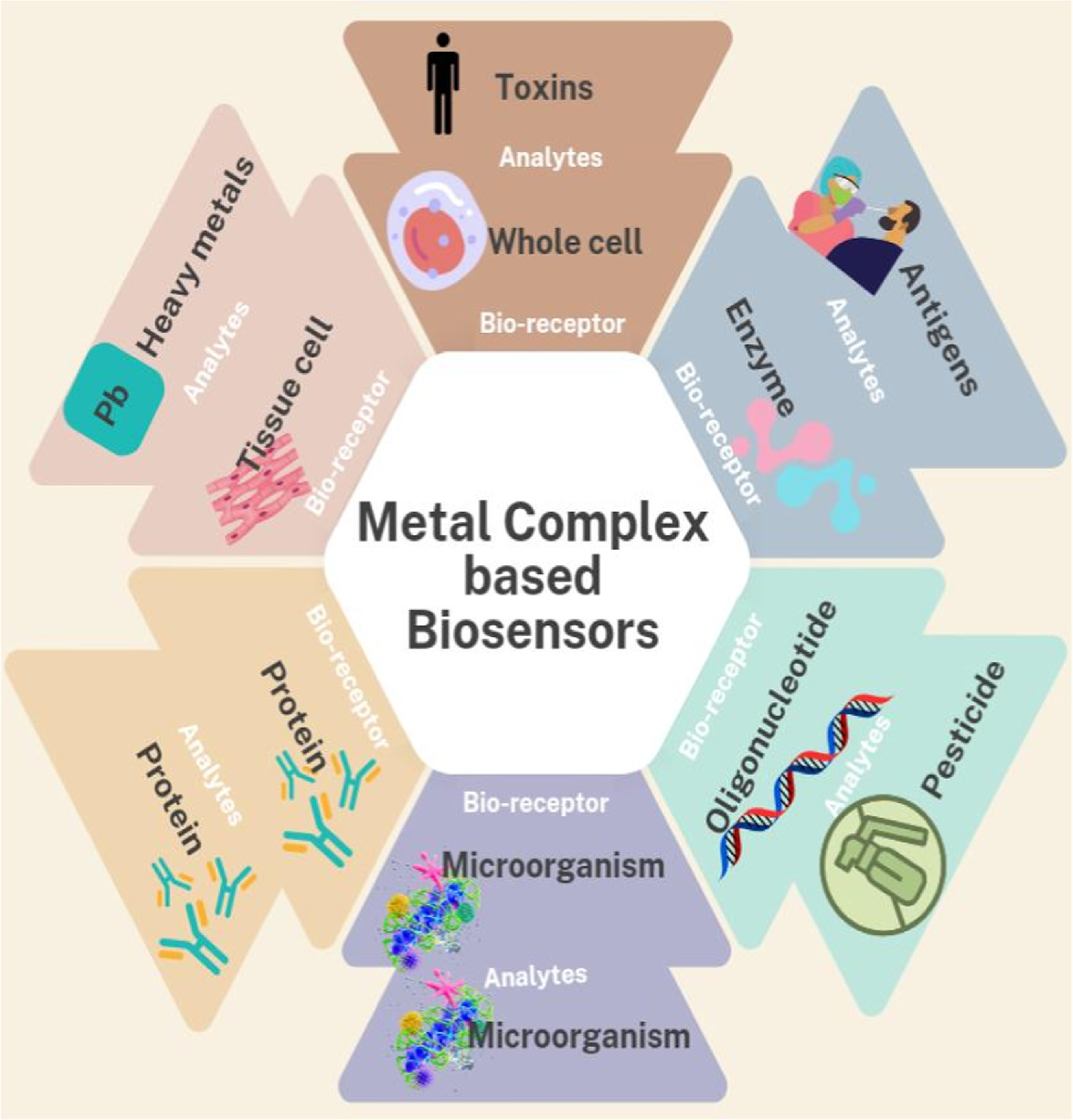 Electrochemical Biosensors Designed with Coordination Compounds: Recent ...