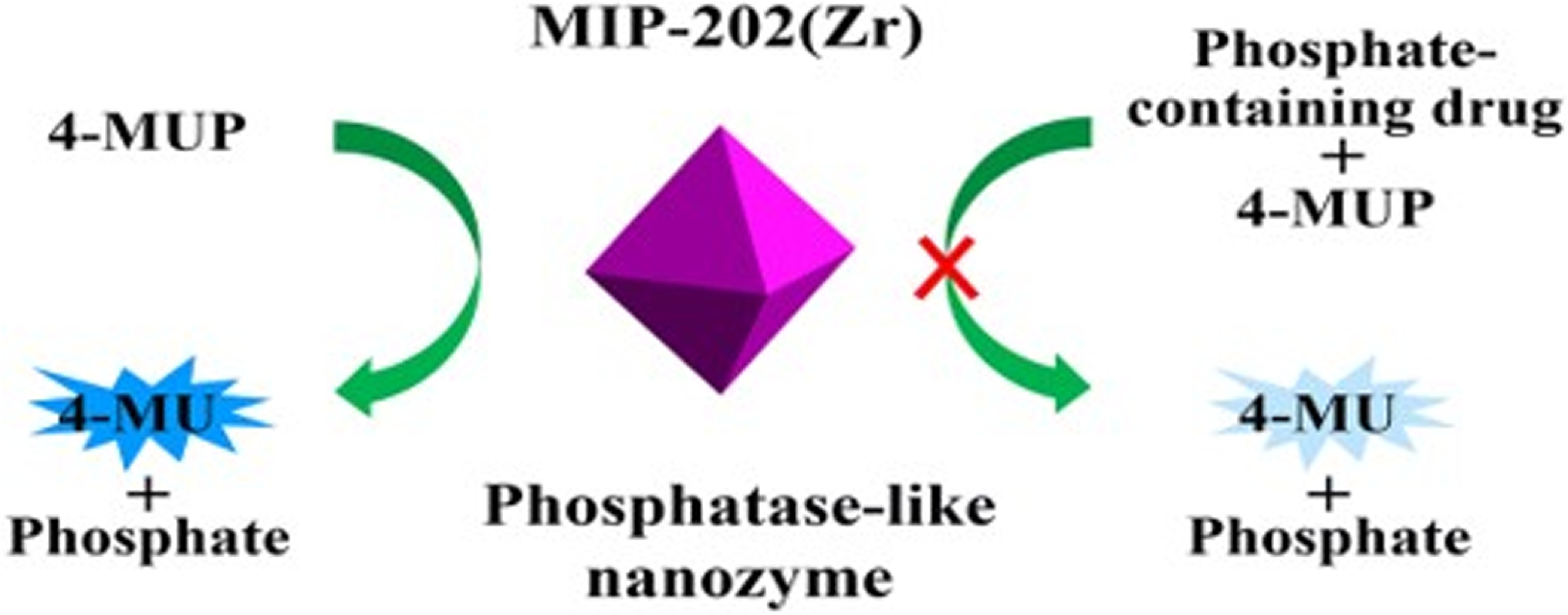 Recent Advances in Phosphatase-Mimetic Nanozymes for Analytical Sensing ...