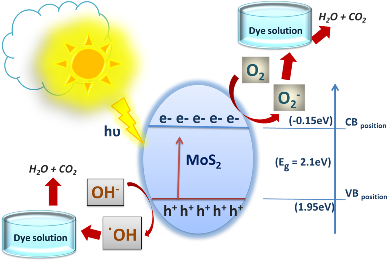 Photocatalytic and Antimicrobial Performance Evaluation of Reusable ...