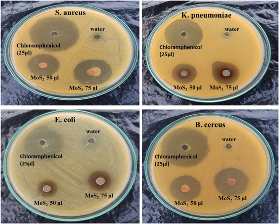 Photocatalytic and Antimicrobial Performance Evaluation of Reusable ...